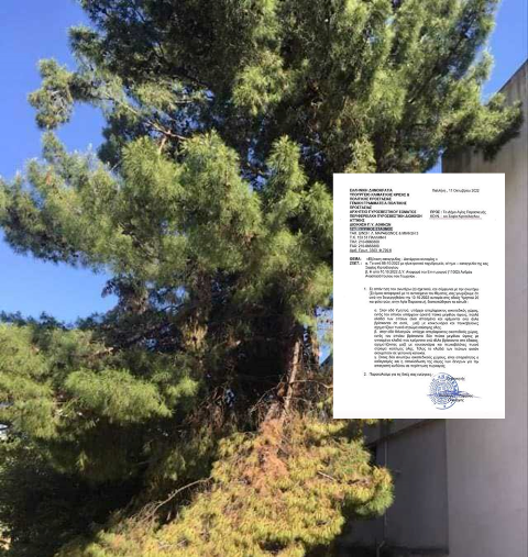 Πόρισμα κόλαφος από Πολιτική Προστασία & Πυροσβεστική κατά του Δήμου Αγ ...
